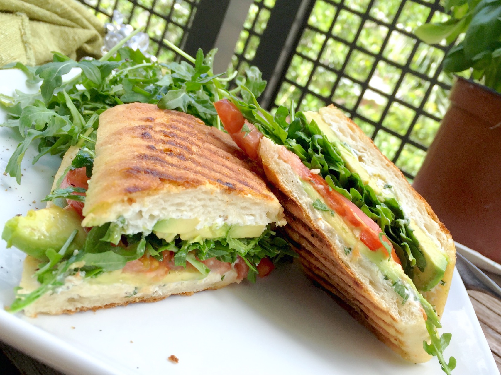 Avocado Panini – Marvelous Mo at Home
